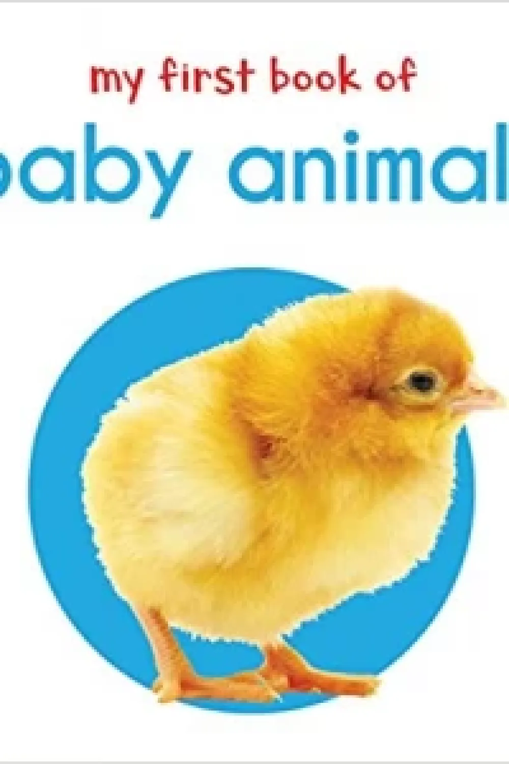 My First Book Of Baby Animals: First Board Book - Book - by Wonder ...