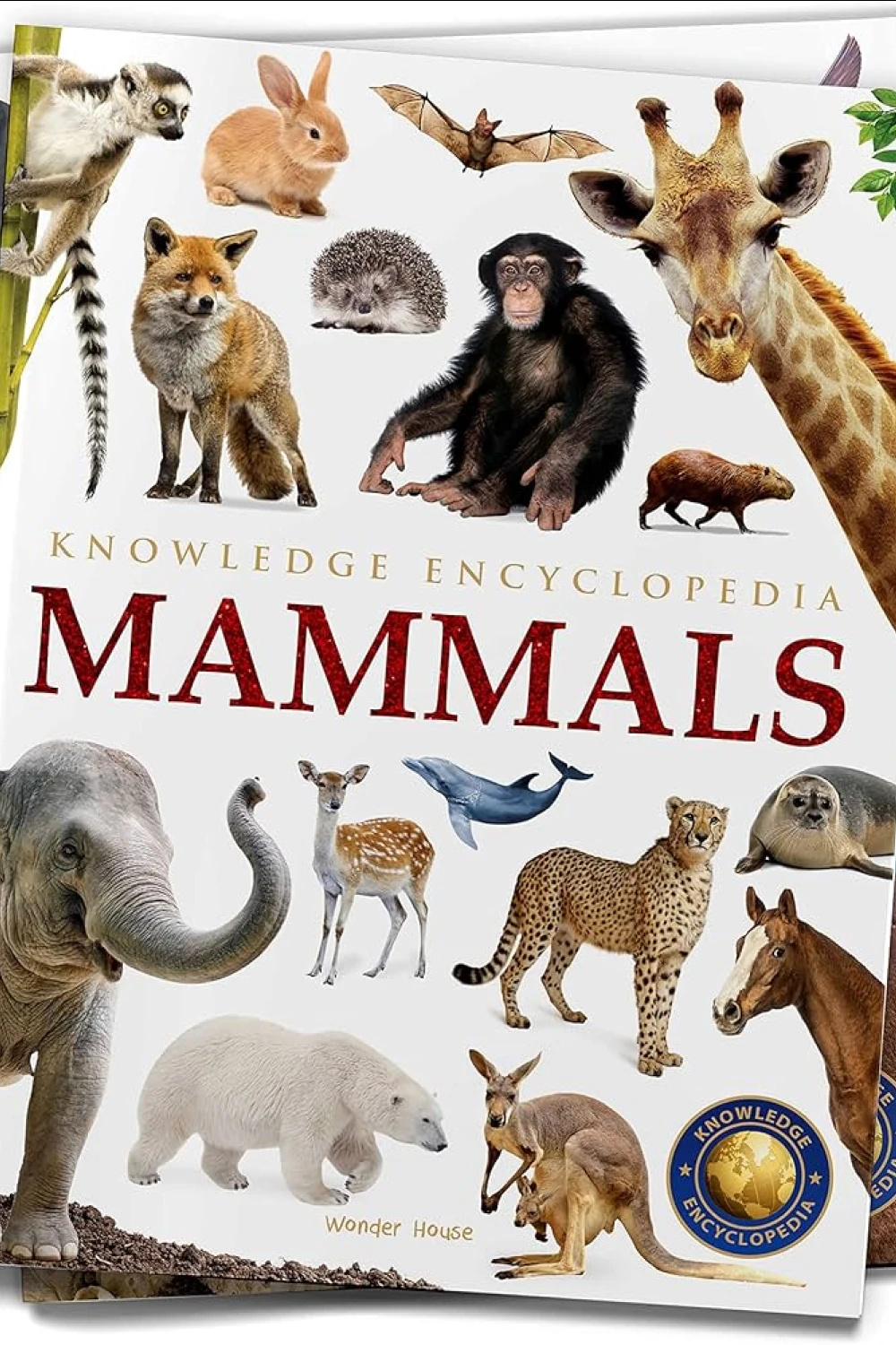 Animals - Mammals : Knowledge Encyclopedia For Children - Book ...
