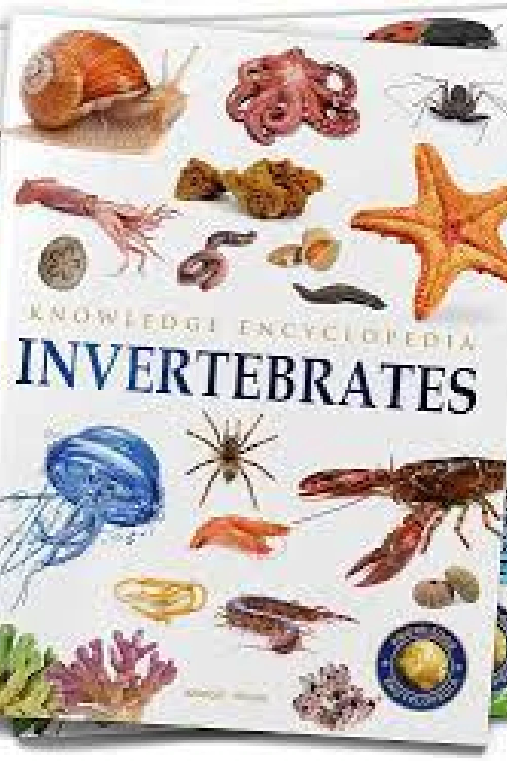Animals: Invertebrates (Knowledge Encyclopedia For Children ...