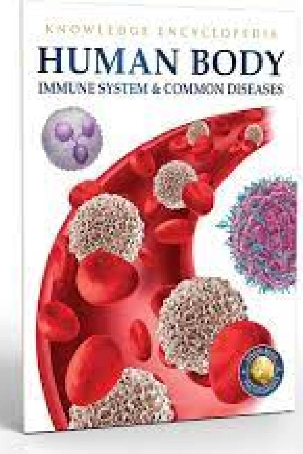 Human Body: Immune System And Common Diseases (Knowledge... - Aseer Alkotb