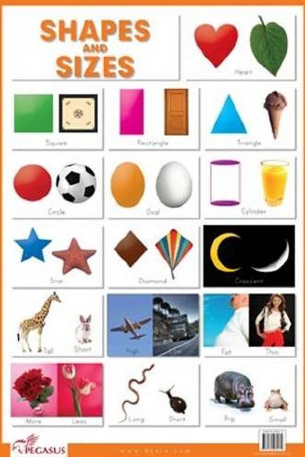 SHAPES & SIZES EDUCATIONAL CHARTS - Book - by Pegasus - عصير الكتب