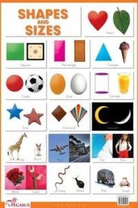 SHAPES & SIZES EDUCATIONAL CHARTS - Pegasus | Aseer Alkotb