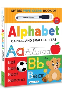 My Big Wipe And Clean Book of Alphabet for Kids: Capital And Small ...