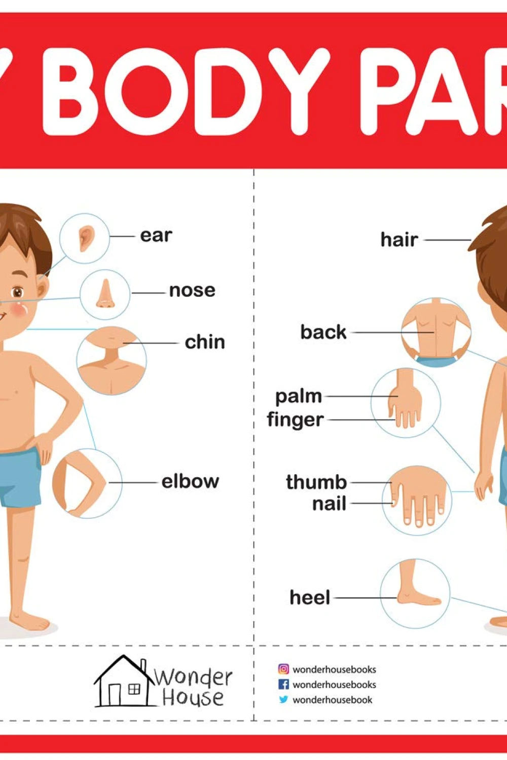 My Body Parts - My First Early Learning Wall Chart: For Preschool ...