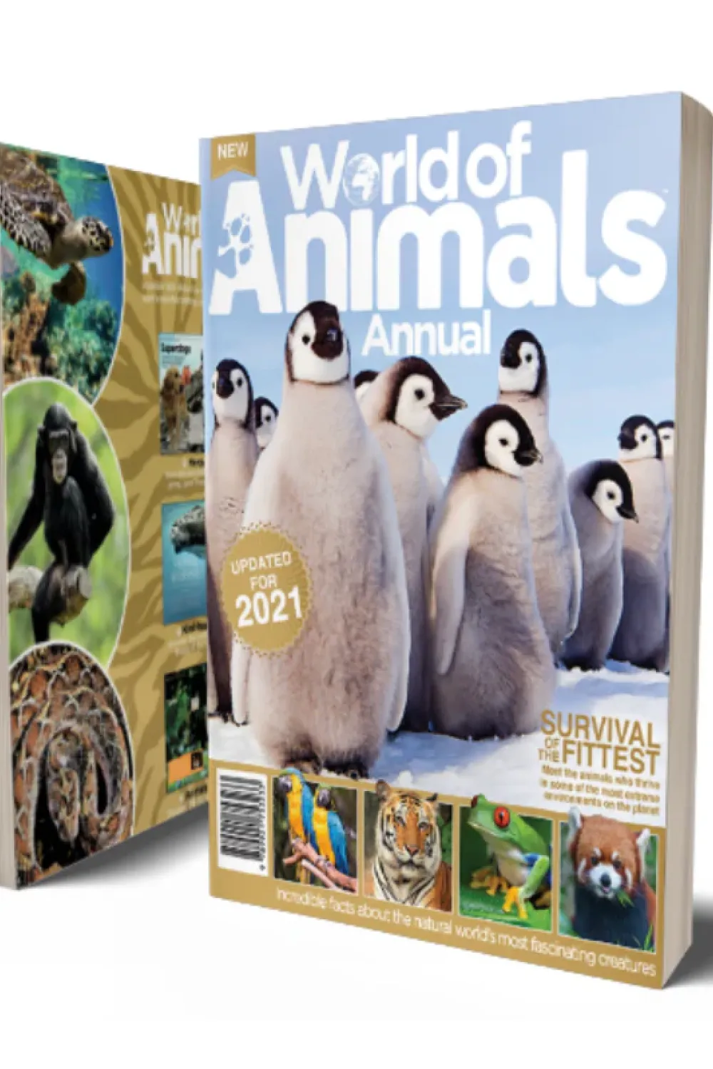 World of Animals Annual - Book - by مجموعة مؤلفين - عصير الكتب