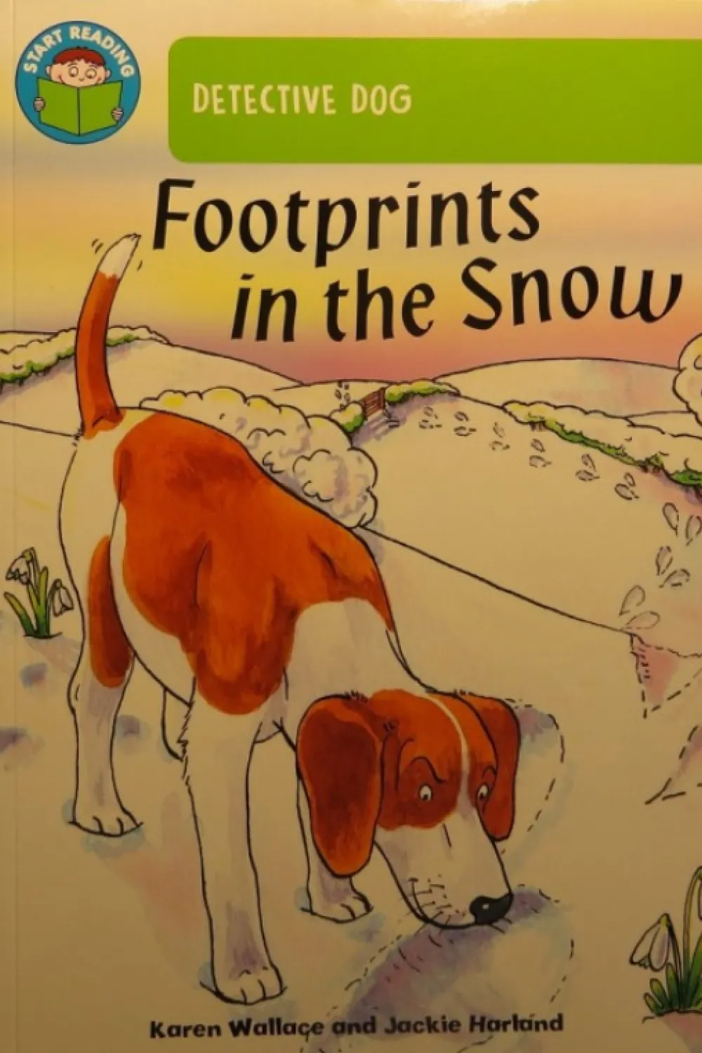Start Reading: (Footprints In The Snow) - Book - by Karen Wallace ...