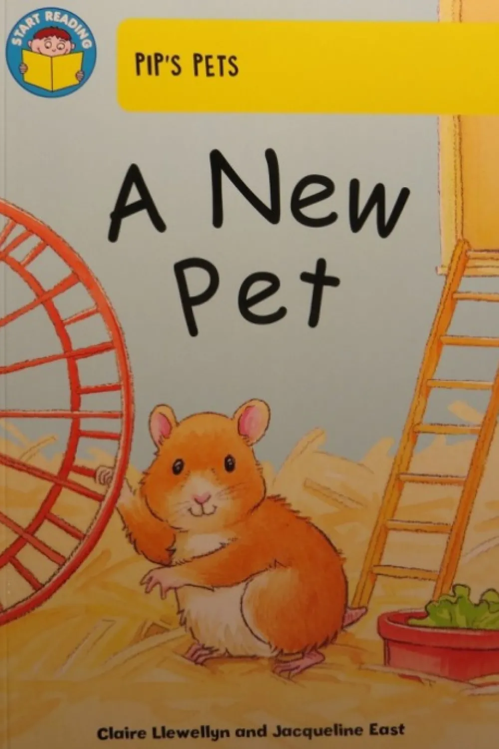 Start Reading: (A New Pet) - Book - by Claire Llewellyn - Aseer Alkotb