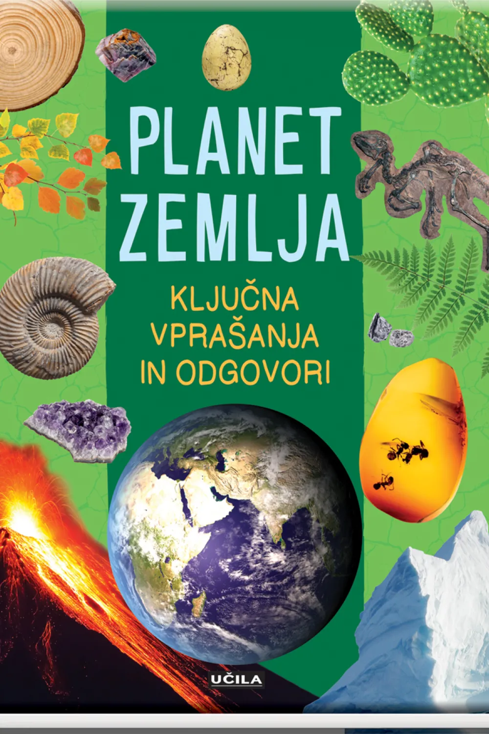 Ultimate Questions & Answers: Planet Earth - Book - by Igloo Books ...
