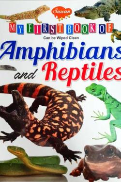 My First Book of Amphibians And Reptiles - Manoj Pub.Ed. Board | عصير الكتب