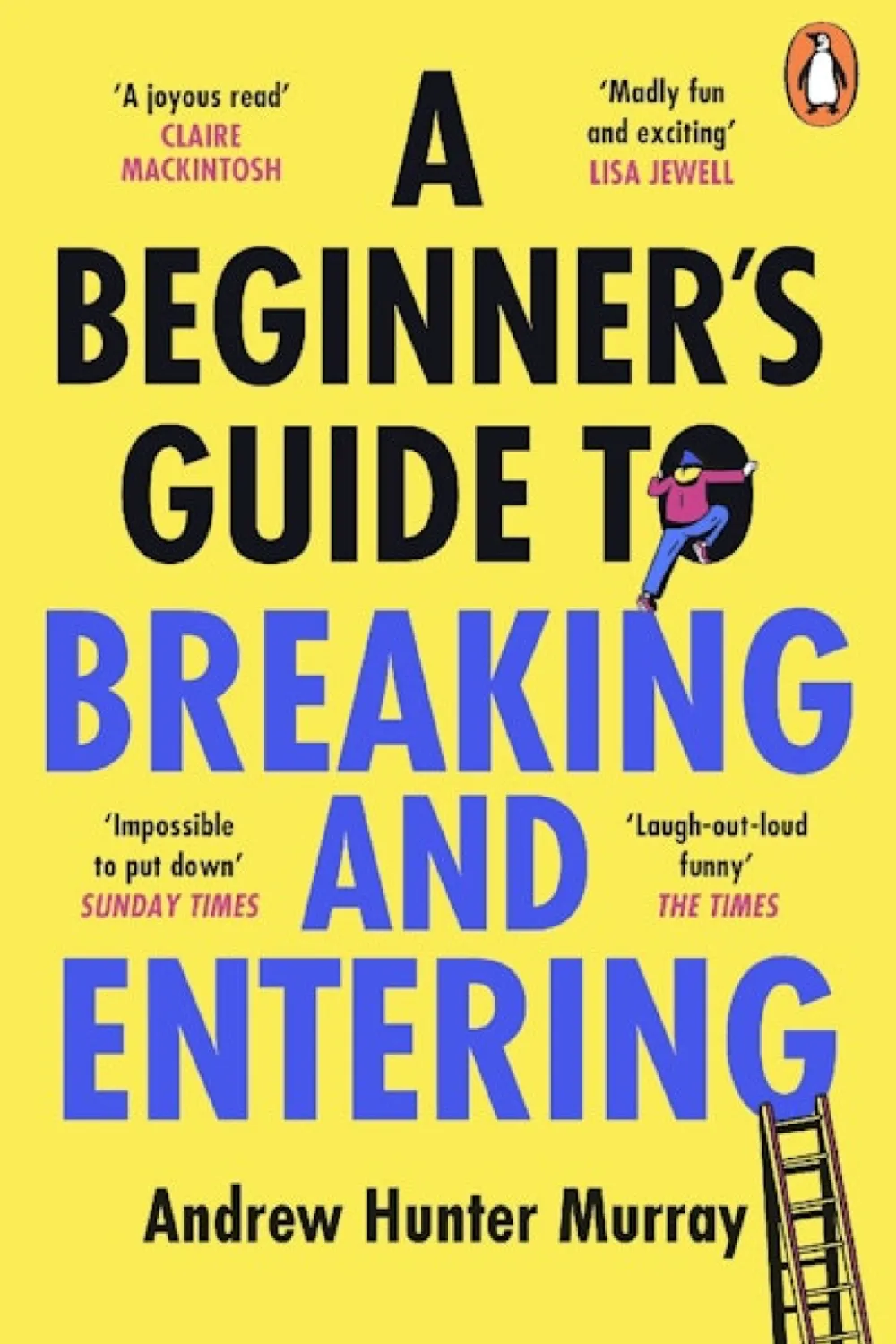 A Beginner’s Guide to Breaking and Entering - Book - by Andrew ...