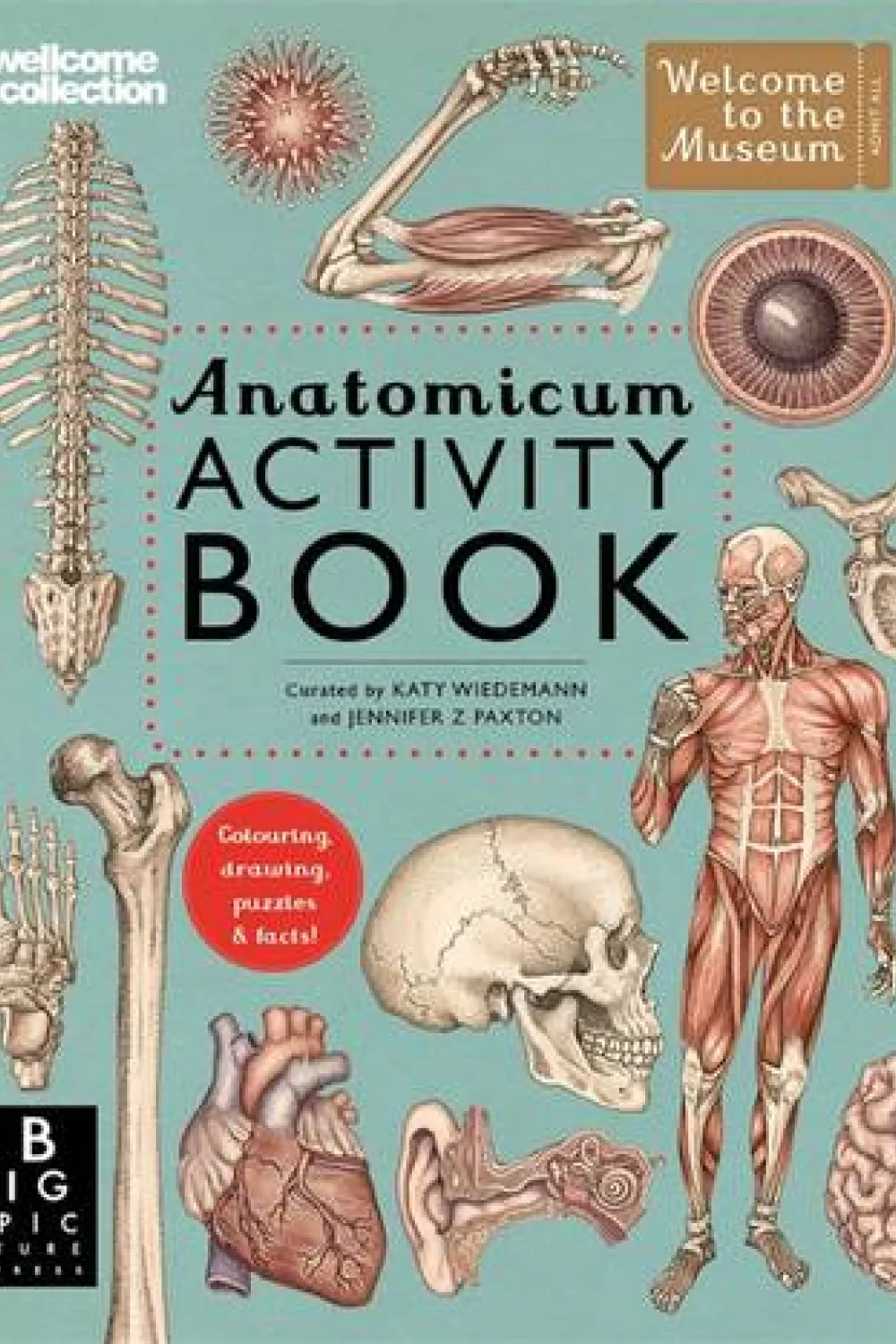 Anatomicum Activity Book (Welcome to the Museum) - Book - by... - عصير ...