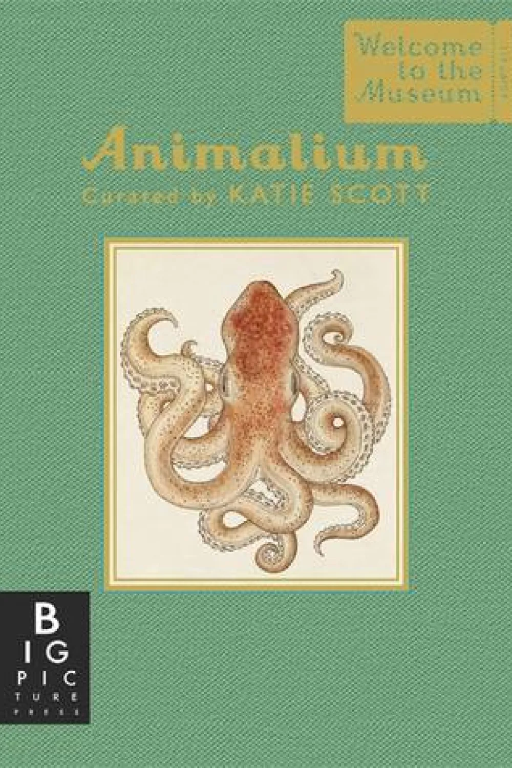 Animalium (Gift Edition) (Welcome to the Museum) - Book - by Jenny ...