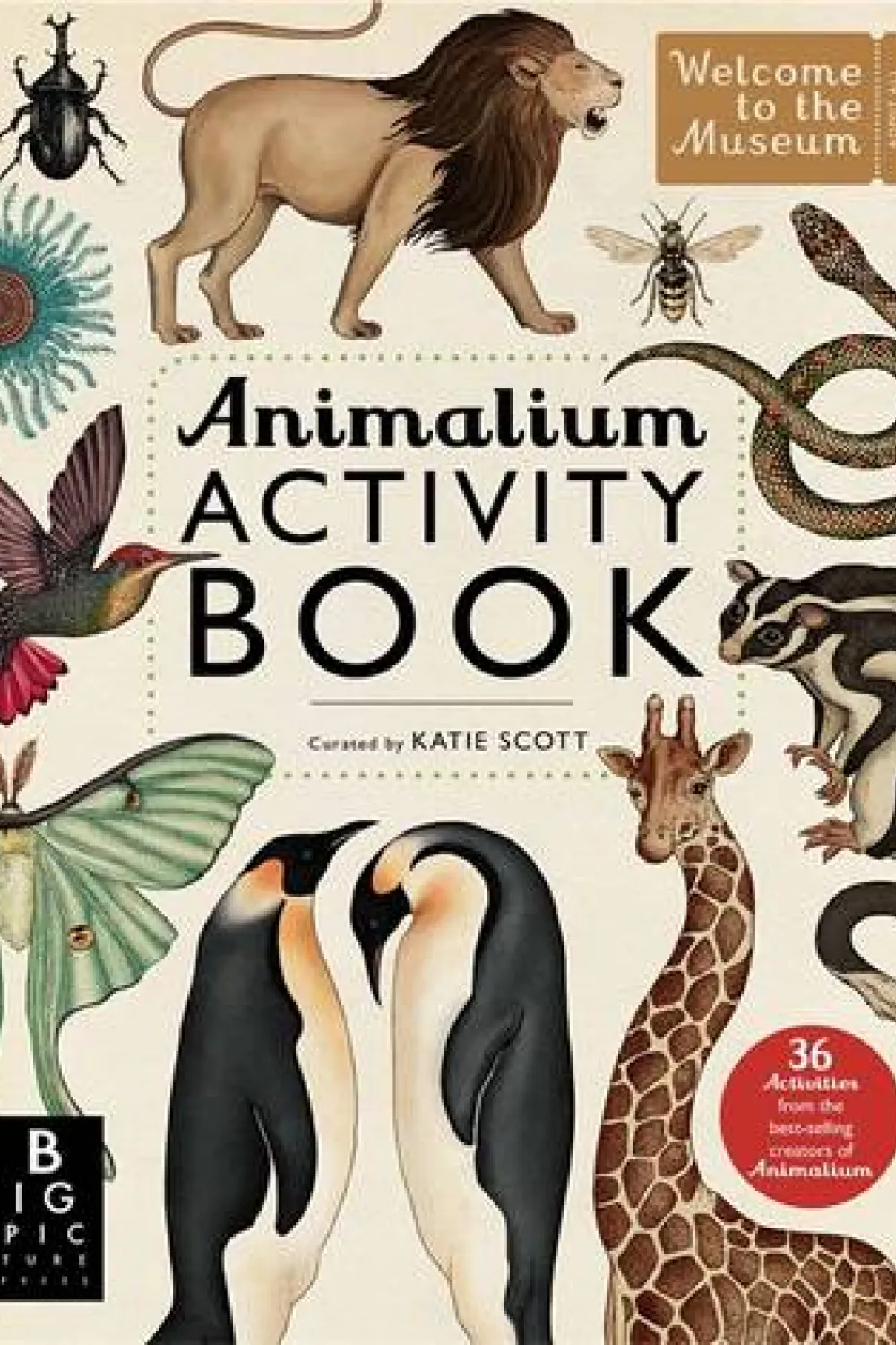 Animalium Activity Book (Welcome to the Museum) - Book - by Katie ...
