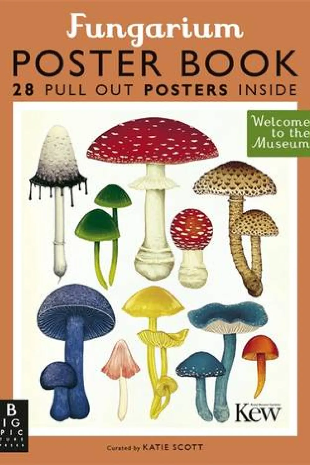 Fungarium Poster Book (Welcome to the Museum) - Book - by Katie Scott ...