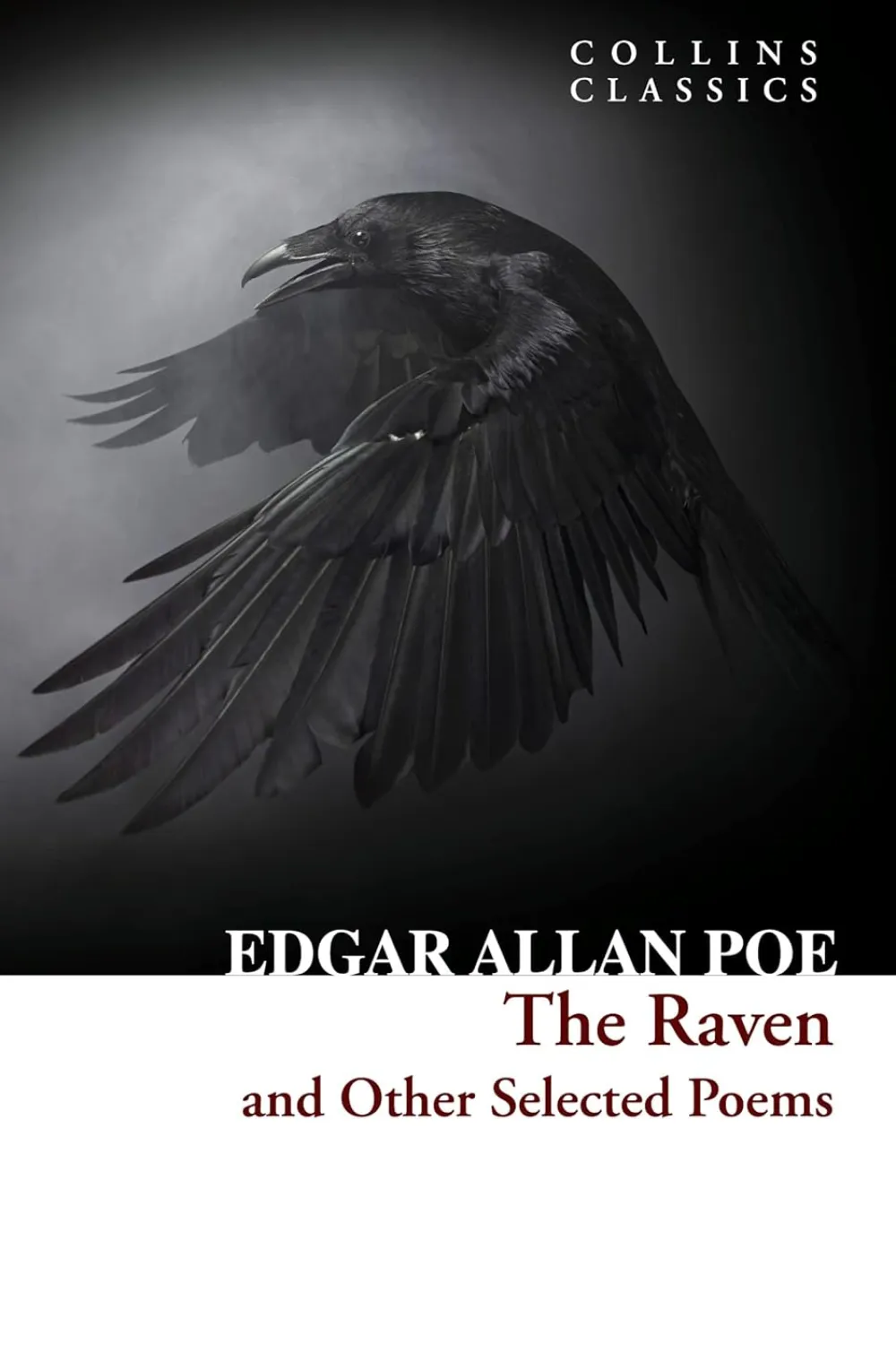 The Raven and Other Selected Poems - Book - by Edgar Allan Poe - Aseer ...